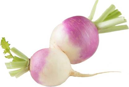 MYLAWN White Purple Top Turnip/Shalgam Seed Price in India - Buy MYLAWN ...
