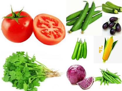 SimXotic Tomato, Dhaniya, Tori, Bottle Gourd, Cabbage, Zucchini, Brinjal, Bhutta, Chili Seed ...