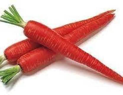 KANAYA Gajar Seed Price in India - Buy KANAYA Gajar Seed online at ...