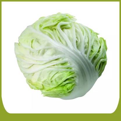 MYLAWN Organic green cabbage Seed Price in India - Buy MYLAWN Organic ...