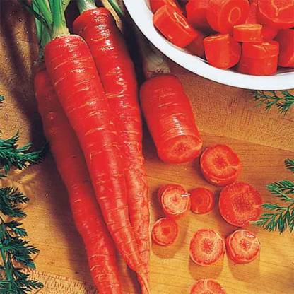 RUDAN Atomic Red Carrot Seed Price in India - Buy RUDAN Atomic Red ...