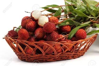 MAA Litchi, Lichi, Lychee Seed Price in India - Buy MAA Litchi, Lichi ...