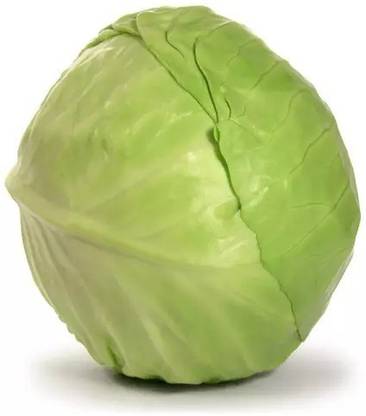 MYLAWN Cabbage round green (बंधा गोभी के बीज) Seed Price in India - Buy ...