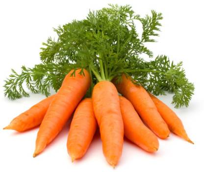 ZIFR Orange Carrot (Gajar) Seed Price in India - Buy ZIFR Orange Carrot ...