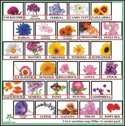 Flower Seed Identification Chart | Best Flower Site