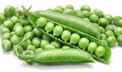 KANAYA Vegetable Seeds Garden Pea Matar Organic Seed Price in India ...