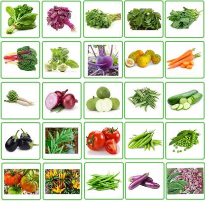 CYBEXIS Indian Vegetable Seeds Combo, 25 Varieties Seed Price in India ...
