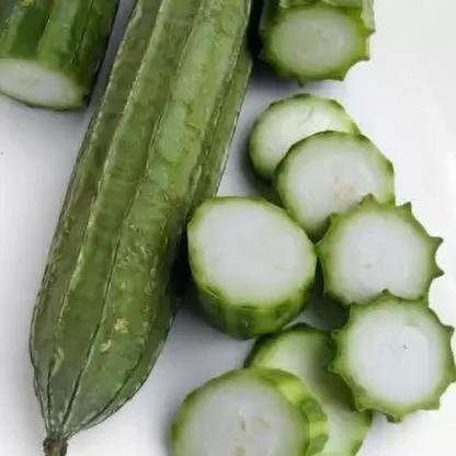 MAA Ridge Gourd, Turai, Luffa Seed Price in India - Buy MAA Ridge Gourd ...