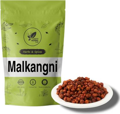 ayurved herbal care Malkangni Seeds - Jyotishmati - Celastrus ...