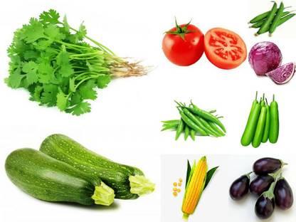 R-DRoz Tori, Loki, Cabbage, Zucchini, Brinjal,Ridge Gourd,Corn, Chily ...