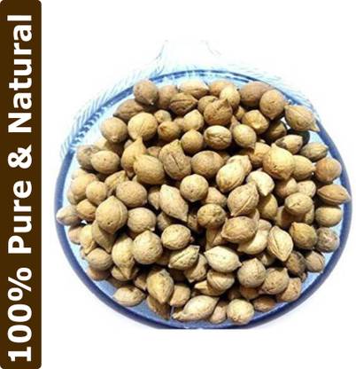 Dirghaanshi Putrajeevak Beej,Putrajivak Seed,Putranjiva Roxburghii ...