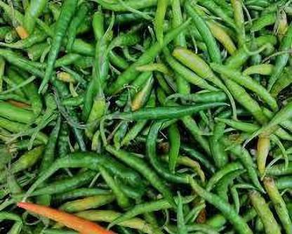 greenfarm Chilli Seeds Pure Organic chilli Mirchi Seeds (370 seeds) j44 ...