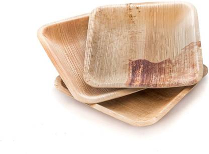 Tarumitra 8 Inch disposable Square plate areca leaf chemical free 100% ...