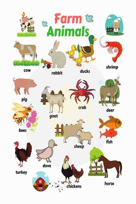 Animals Name Chart Poster with Gloss Lamination Paper Print - Children ...