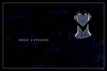 Solo Leveling Anime Matte Finish Poster Paper Print - Animation ...