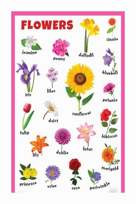 Flowers Name Chart Poster with Gloss Lamination Paper Print - Children ...
