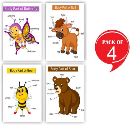 animal body parts, educational poster for school,school poster for kids ...