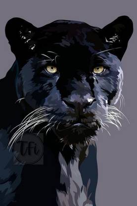 Wild Animal Black Panther Poster | Panther Posters for Room | Unframed ...