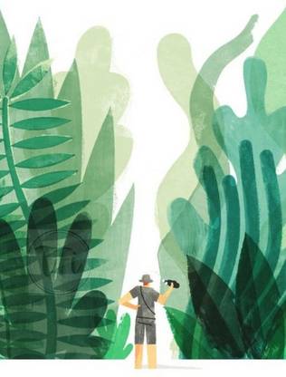 Wild Jungle Poster | Jungle Posters for Room | Unframed | With Self ...