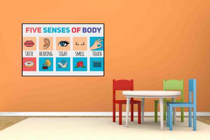 Kids Educational Sticker Poster On "Five Senses"|Sticker Poster For ...
