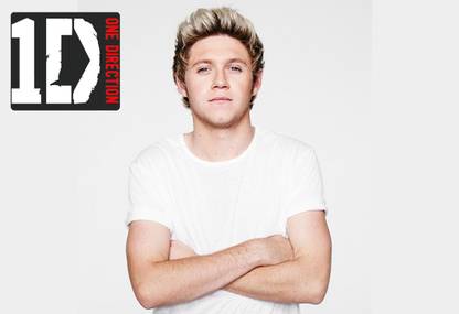 Poster Niall Horan One Direction sl-14820 (LARGE Poster, 36x24 Inches ...