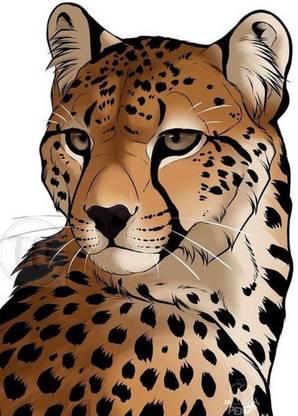 Cheetah Poster | Cheetah Posters for Room | Unframed | With Self Adhesive Tape Paper Print ...