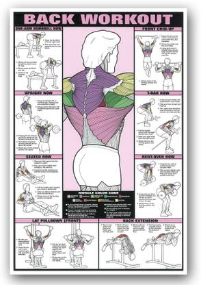 Motivational Inspirational Back Workout Exercise Gym Poster - 24 x 36 ...