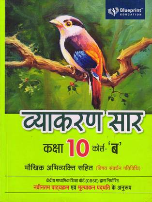 Blueprint Vyakaran Sar Class - 10 (Course - 'b'): Buy Blueprint ...
