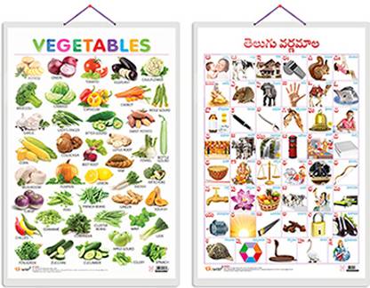 Set of 2 Vegetables and Telugu Alphabet (Telugu) Early Learning ...