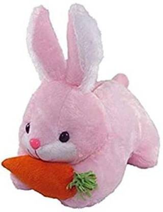 MiniJoy Cute & Soft Pink Rabbit Soft Toys for Kids, Babies & Toddlers ...