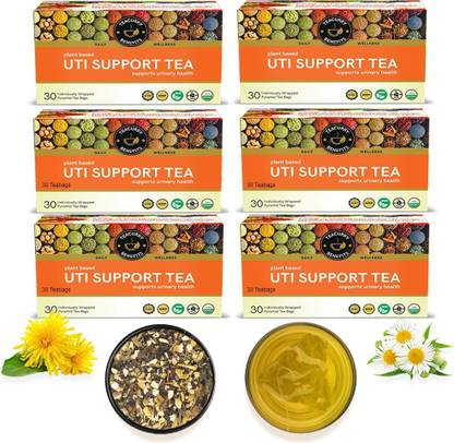 TEACURRY UTI Tea (6 Months Pack) - Helps with Urinary Tract Infections ...