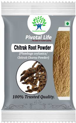 Pivotal Life Chitrak Root Powder, Chitra churnam powder 250g Price in ...