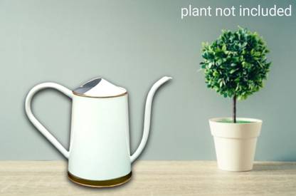 Mabox 2L metal designer long sprout rust free watering can / Garden ...