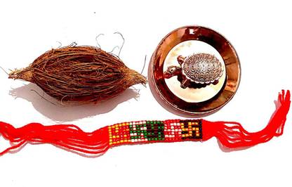 SHREENATHJI Ladhu Nariyal Shreefal Mahalaxmi Coconut Tortoise Kachuwa ...