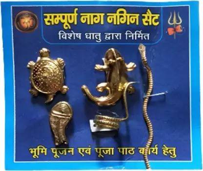 DEVAMA THE DIVINE Metal Naag Naagin Set for Bhoomi Poojan & Other Pooja ...