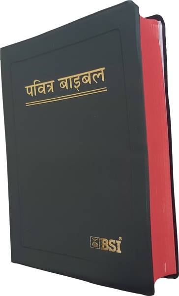 Holy Bible In Hindi | Pavitra Bible | Hindi Bible | The Holy Bible In ...