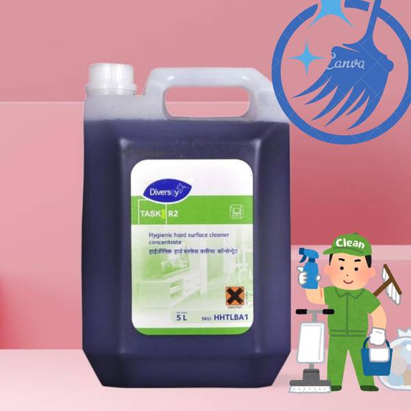 Diversey taskki R2 Hygienic Hard Surface Cleaner best - Price History