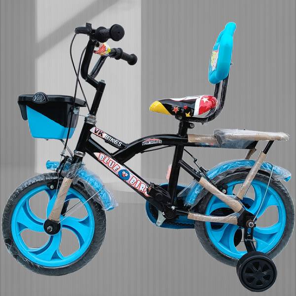 ROXXCORD ROZOK CYCLE PVC ( SKY BLUE ) FOR 2 TO 5 YEARS ALL KIDS 14 T ...