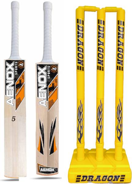 Aenox JUNBIOR CRICKET BAT WITH DRAGON PLASTIC STUMP SET Cricket Kit ...