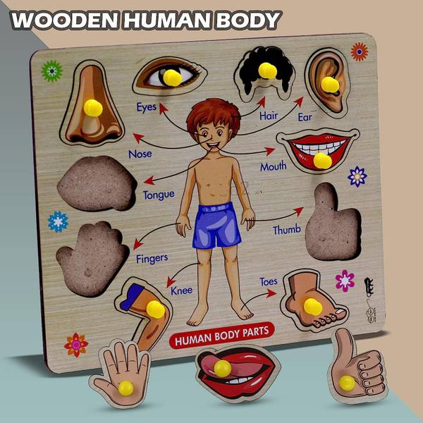 Plus Shine Body Parts Anatomy Skeleton Learning Body Part Puzzle Kids ...