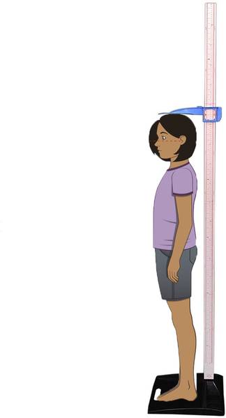 Dr care Height Measuring scale for Adults and Childrens 20-210 Cm ...