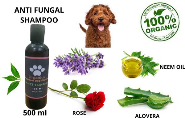 organica Anti-fungal ROSE Dog Shampoo - Price History