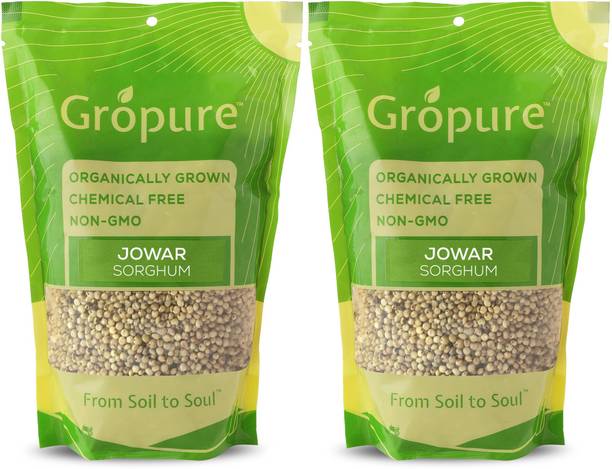 Jowar - Buy Jowar Online at Best Prices In India | Flipkart.com