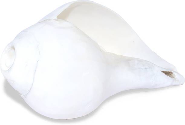 Shankh - Buy Shankh Online at Best Prices In India | Flipkart.com