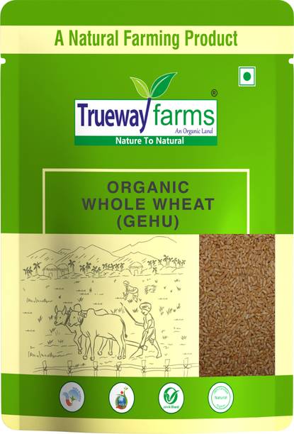 Wheat - Buy Wheat Online at Best Prices In India | Flipkart.com