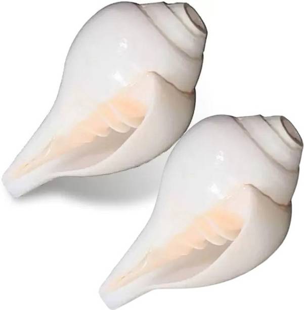 Shankh - Buy Shankh Online at Best Prices In India | Flipkart.com
