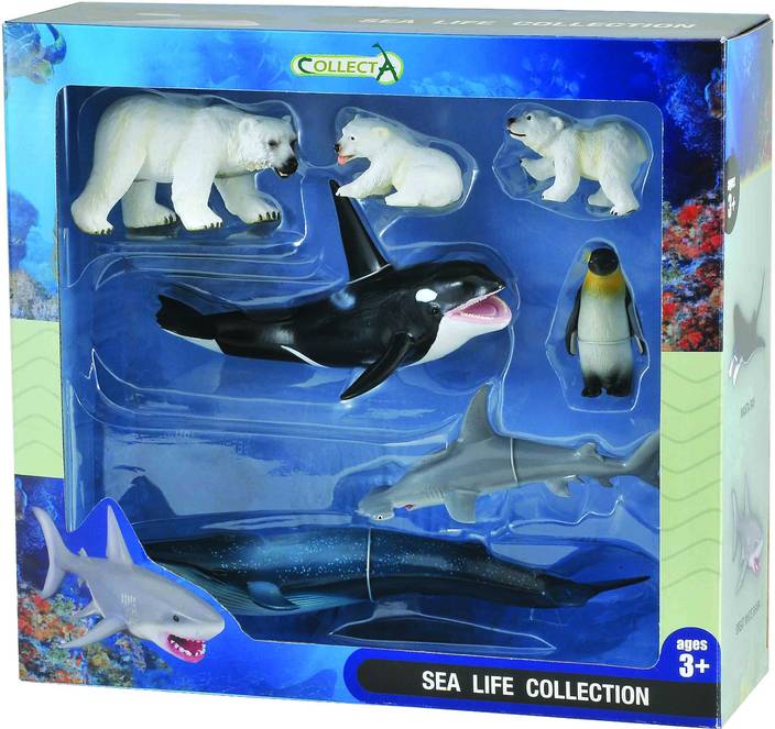 Collecta Sea Life Collection - Sea Life Collection . Buy Animal toys in ...