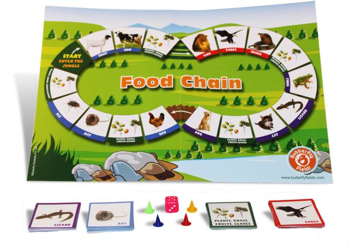 Butterfly FIelds Food Chain - Science Project Kit, Science Workbook ...