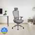 Featherlite Helix HB Mesh Fabric Office Adjustable Arm Chair Price in ...