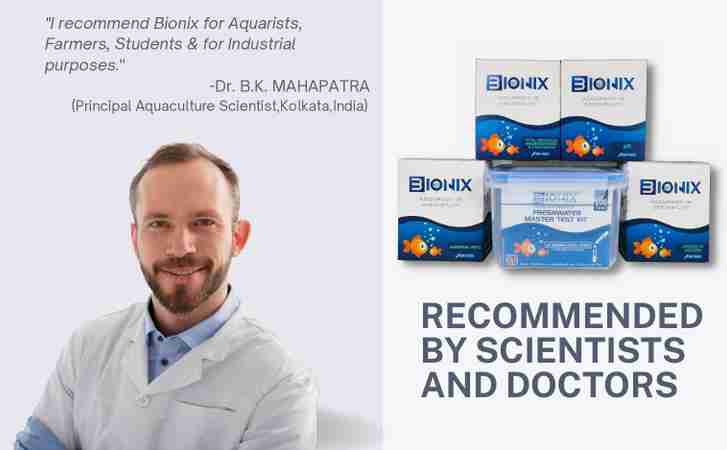 BIONIX Ammonia Test Kit Aquarium Tool Price in India - Buy BIONIX ...
